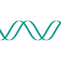 Jonathan P. Beauchamp